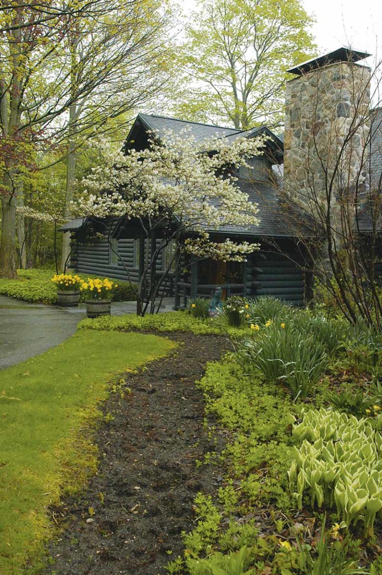 Proper planning ensures reliable spring bulbs - Michigan Gardener